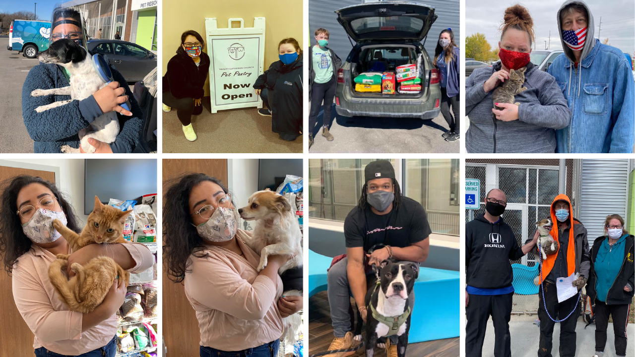 Lawrence Humane Society celebrating 6 months of crisis pet retention ...