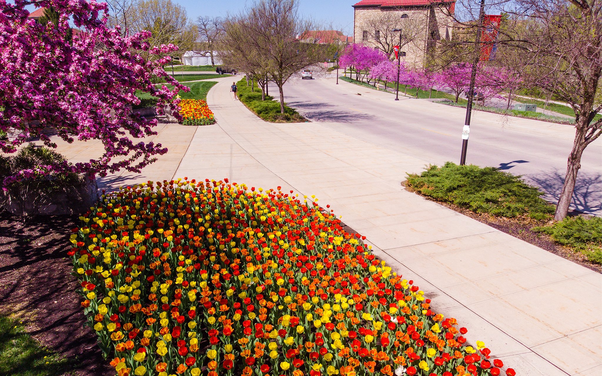 A gallery of Lawrence: KU campus in springtime – The Lawrence Times