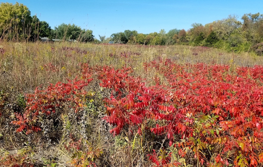 Kaw Valley Almanac for Oct. 10-16, 2022 – The Lawrence Times