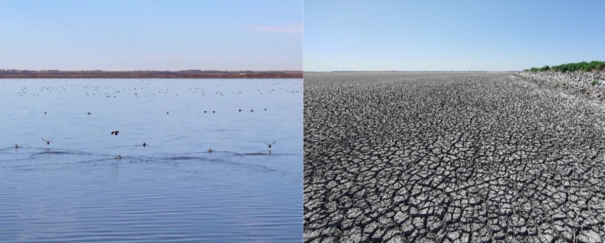 Up to 1 million birds count on Kansas wetlands during migration ...
