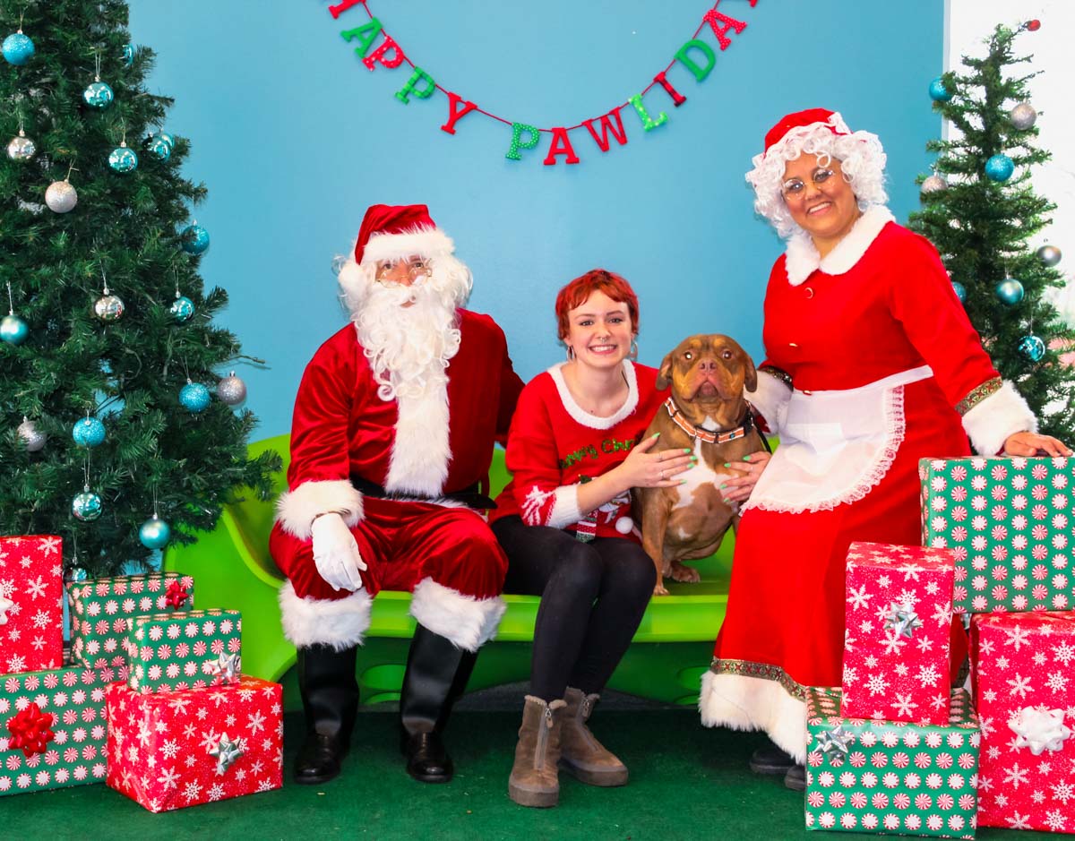 Pet photos with Santa and Mrs. Claus, holiday-themed kitten yoga coming ...