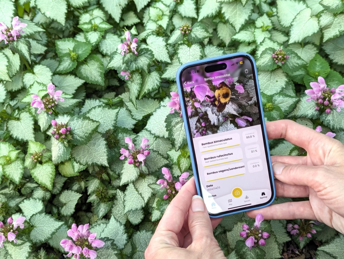 To save the bees, a Kansas scientist is building an app to identify ...
