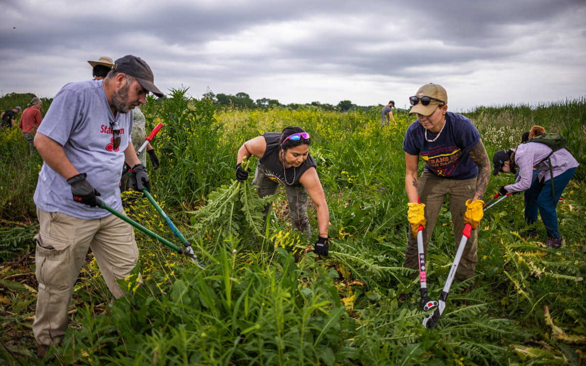 Restoration of native species, new boardwalk and volunteer ...